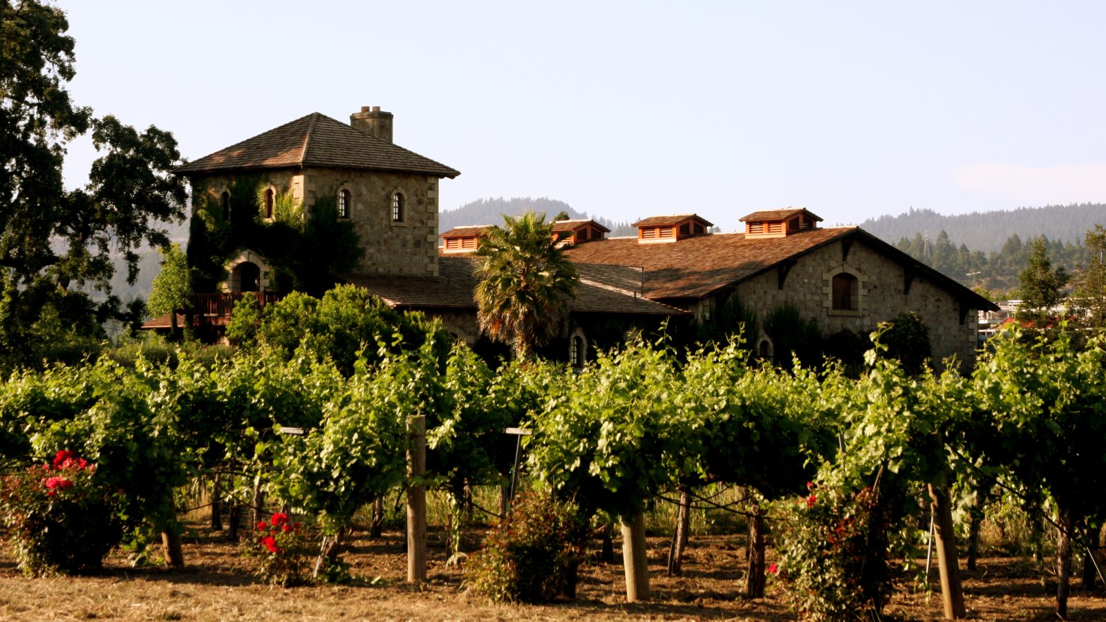 Our Winery Blog | V. Sattui Winery