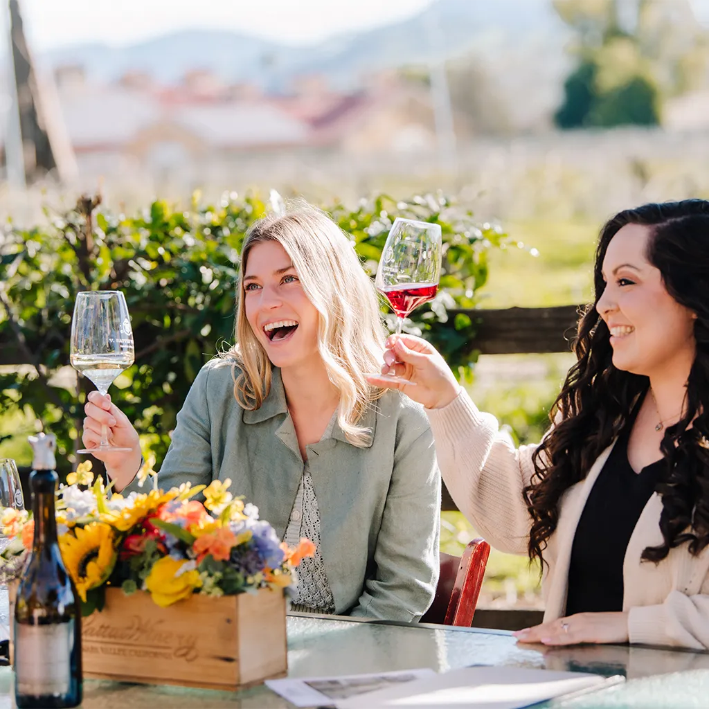 Shop Napa Valley Wines Online | V. Sattui Winery